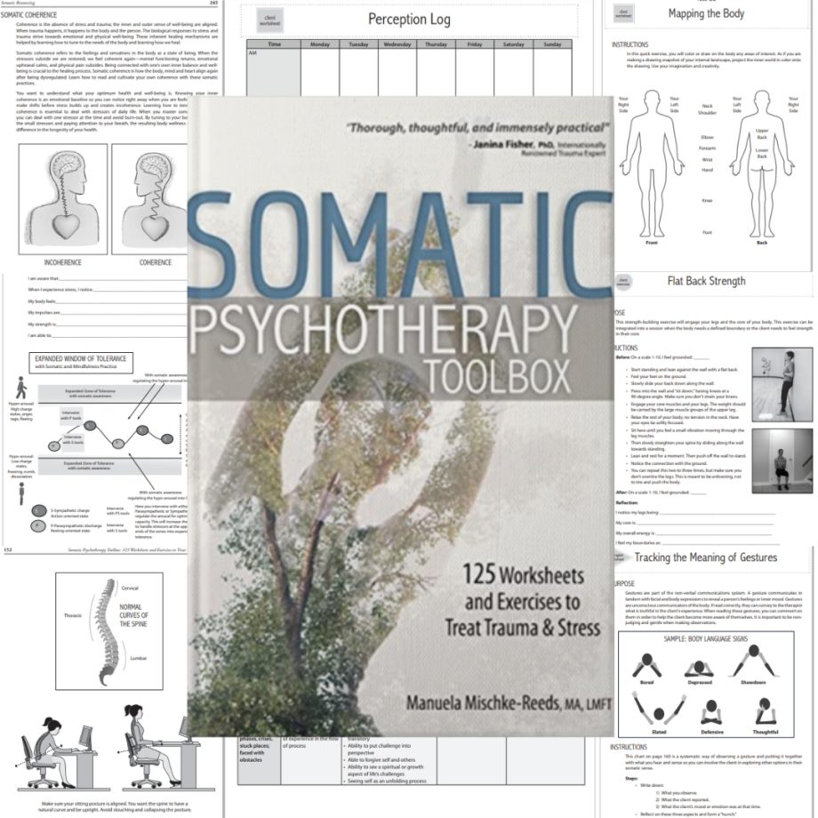 Somatic Psychotherapy Toolbox: 125 Worksheets and Exercises to Treat Trauma & Stress – Bookify